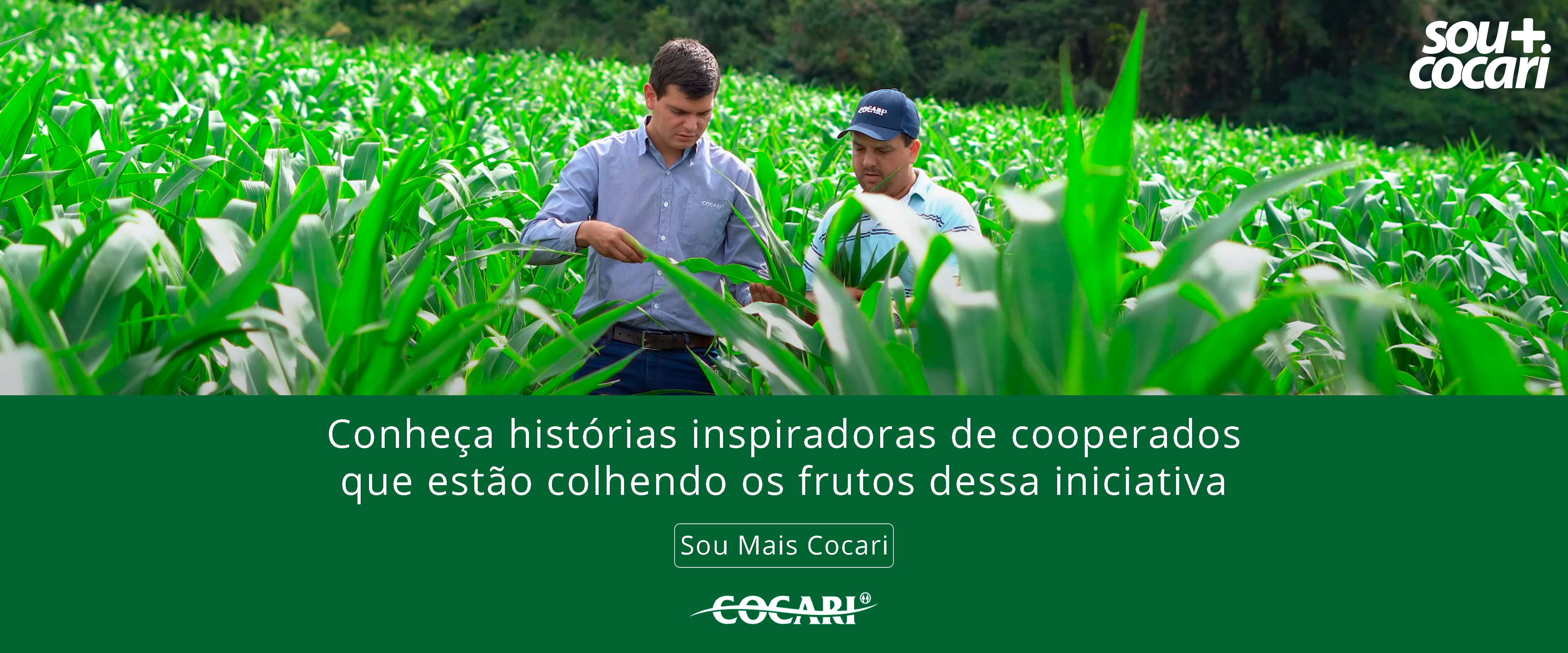 COCARI - Informativo