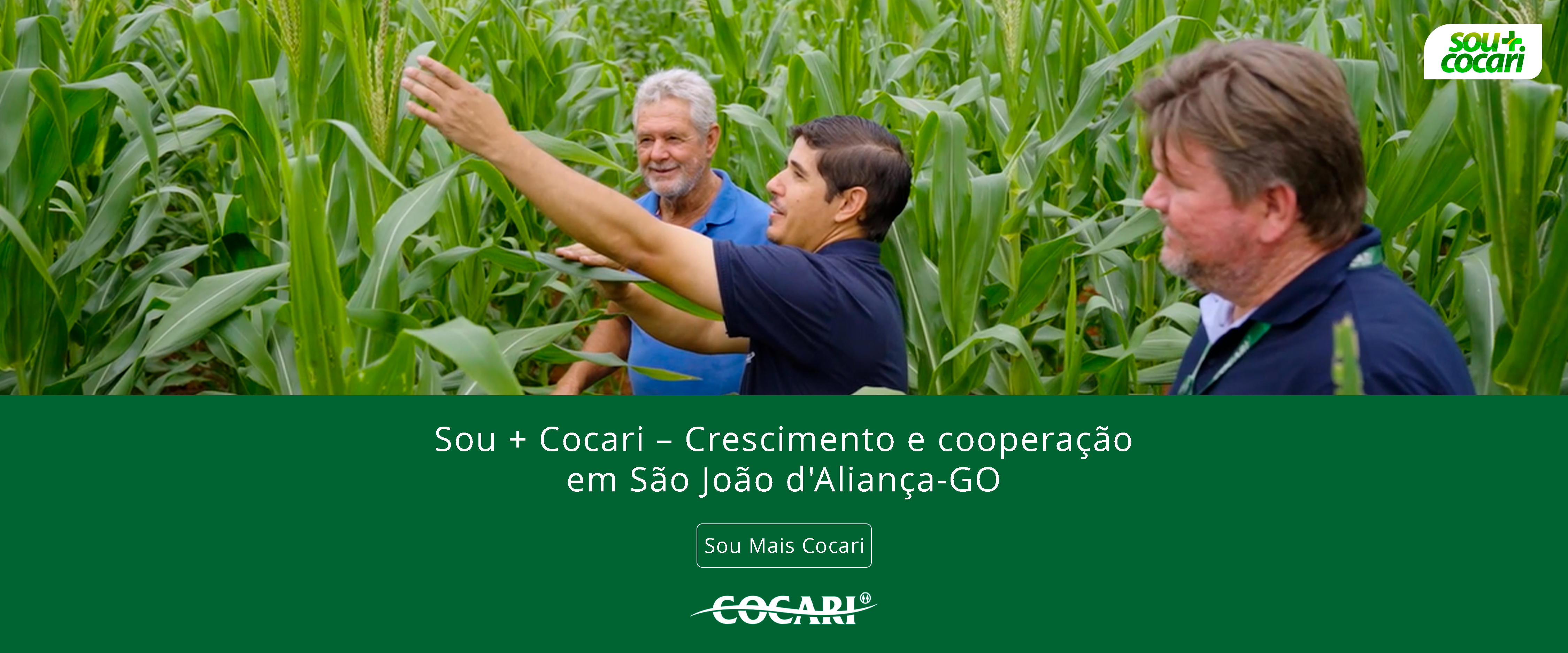 COCARI - Informativo