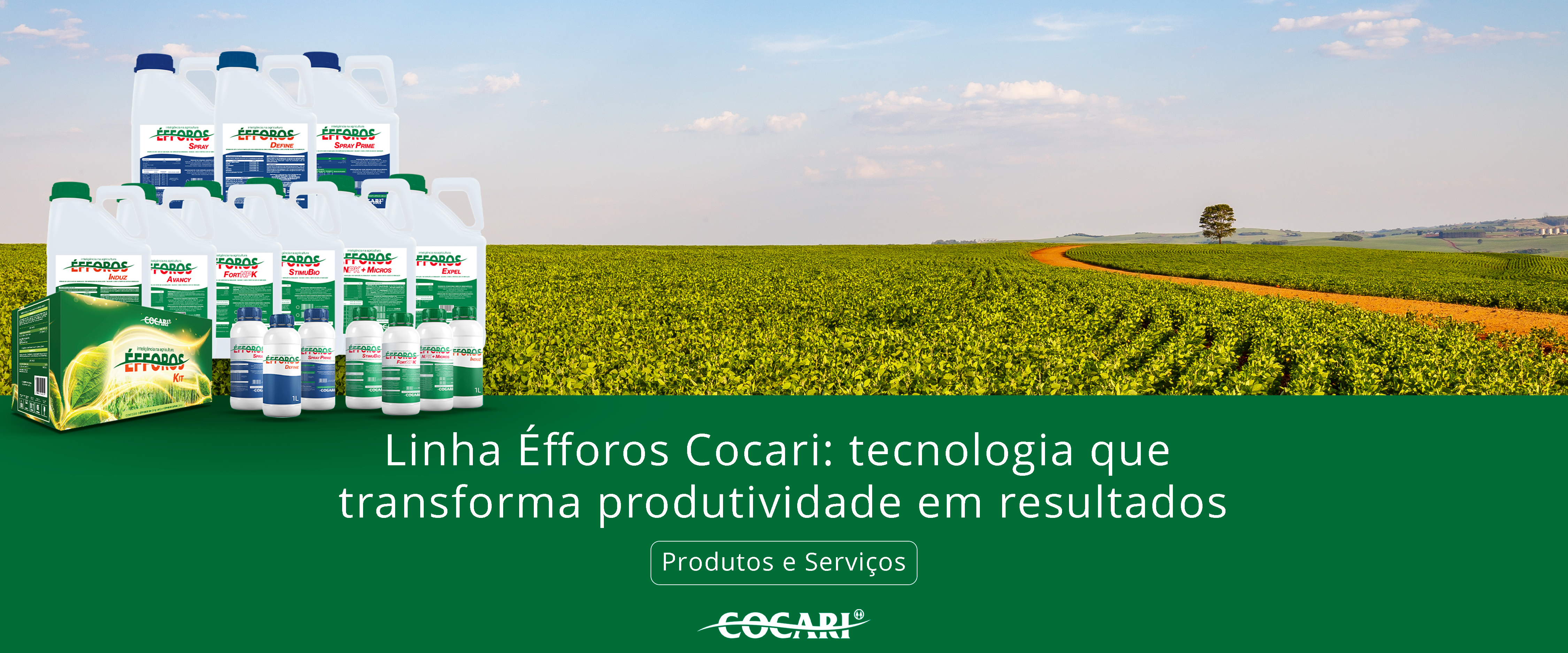 COCARI - Informativo