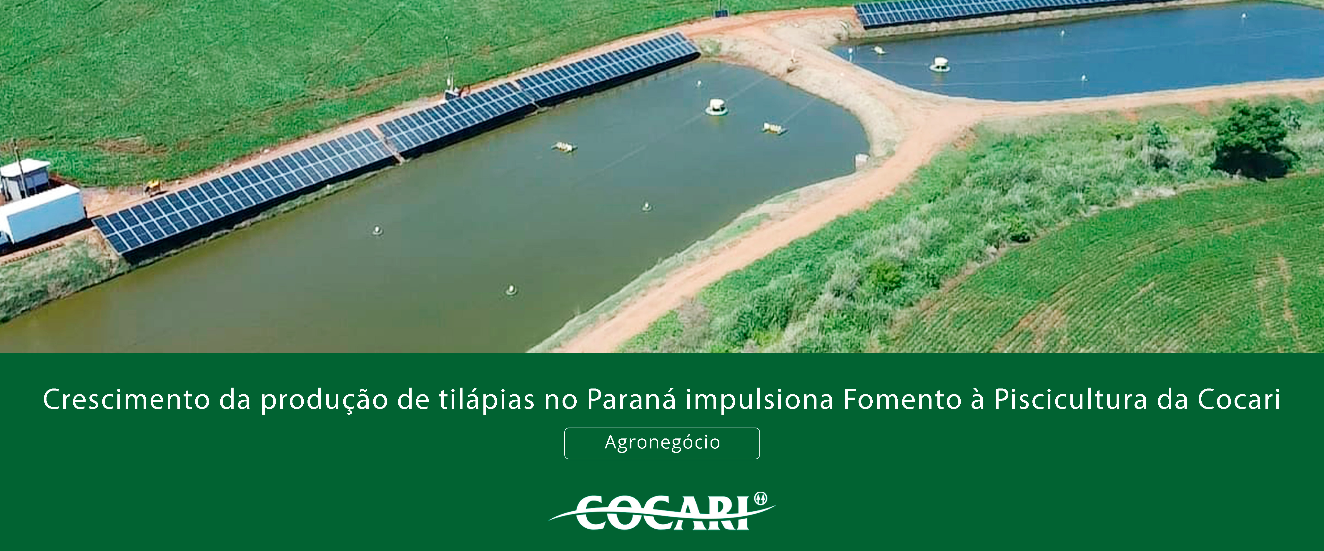 COCARI - Informativo