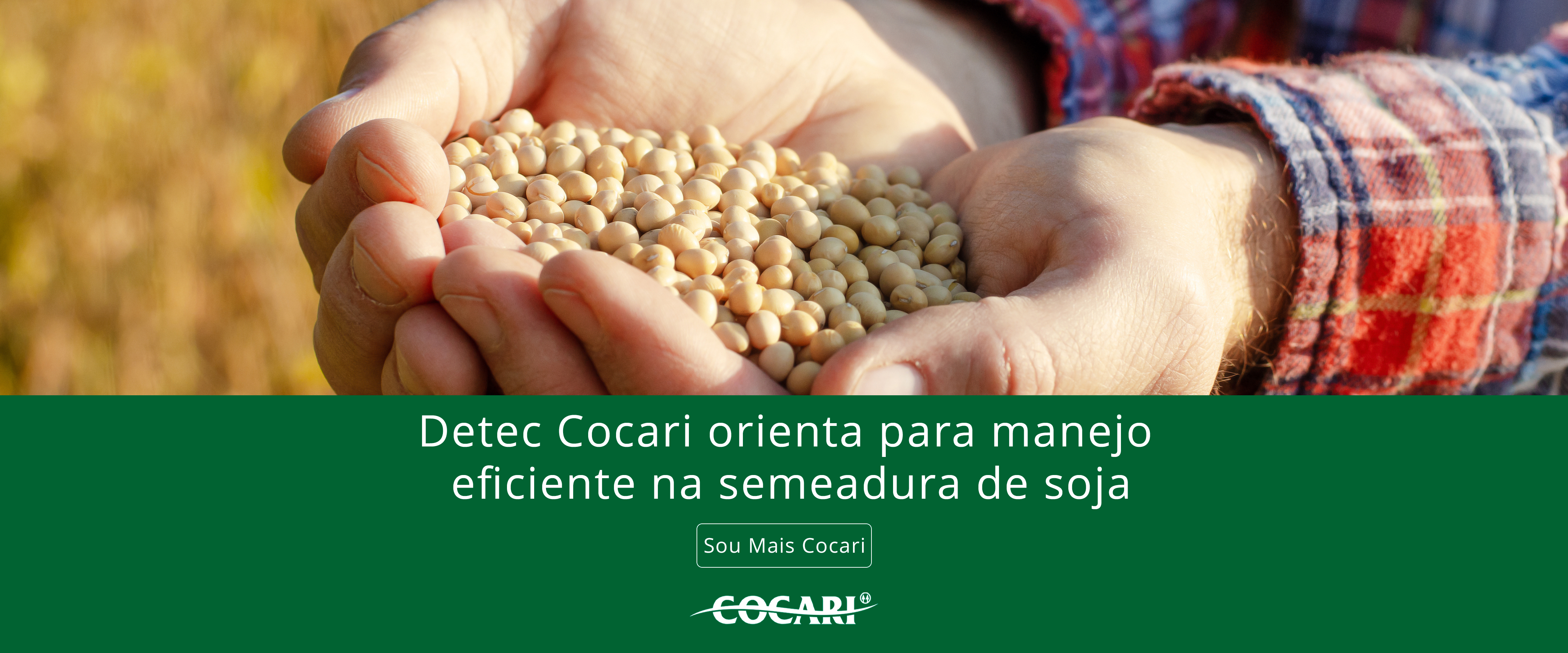 COCARI - Informativo