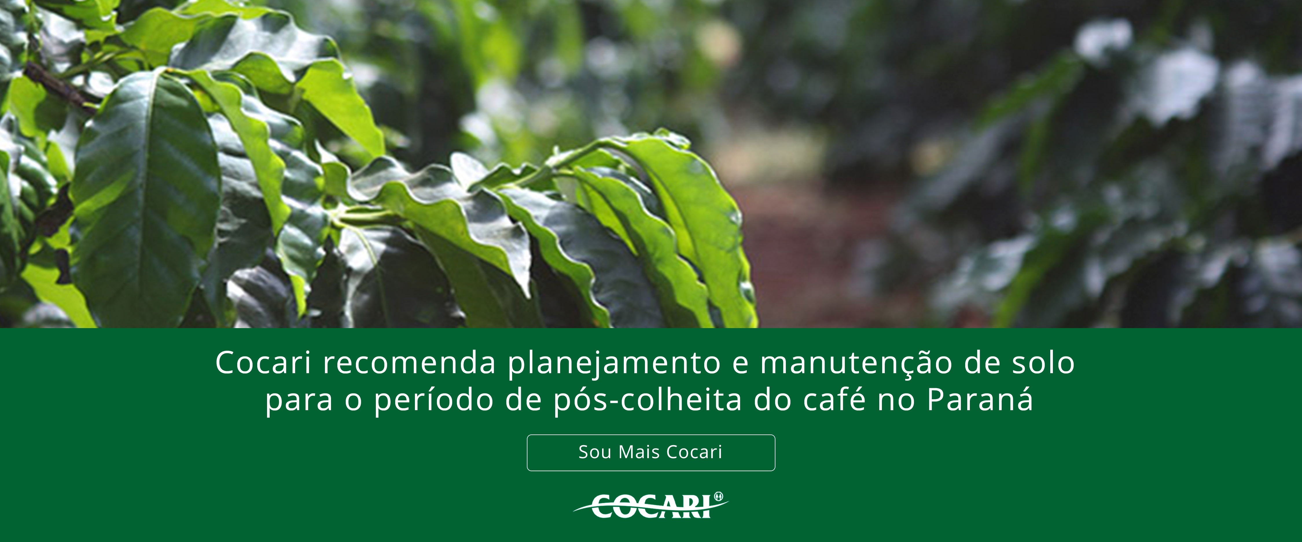 COCARI - Informativo