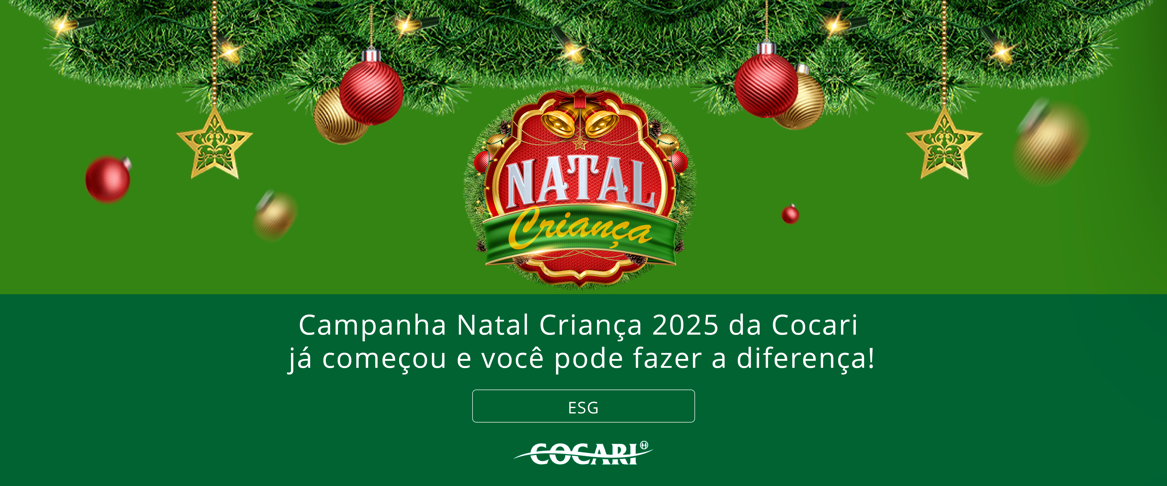 COCARI - Informativo